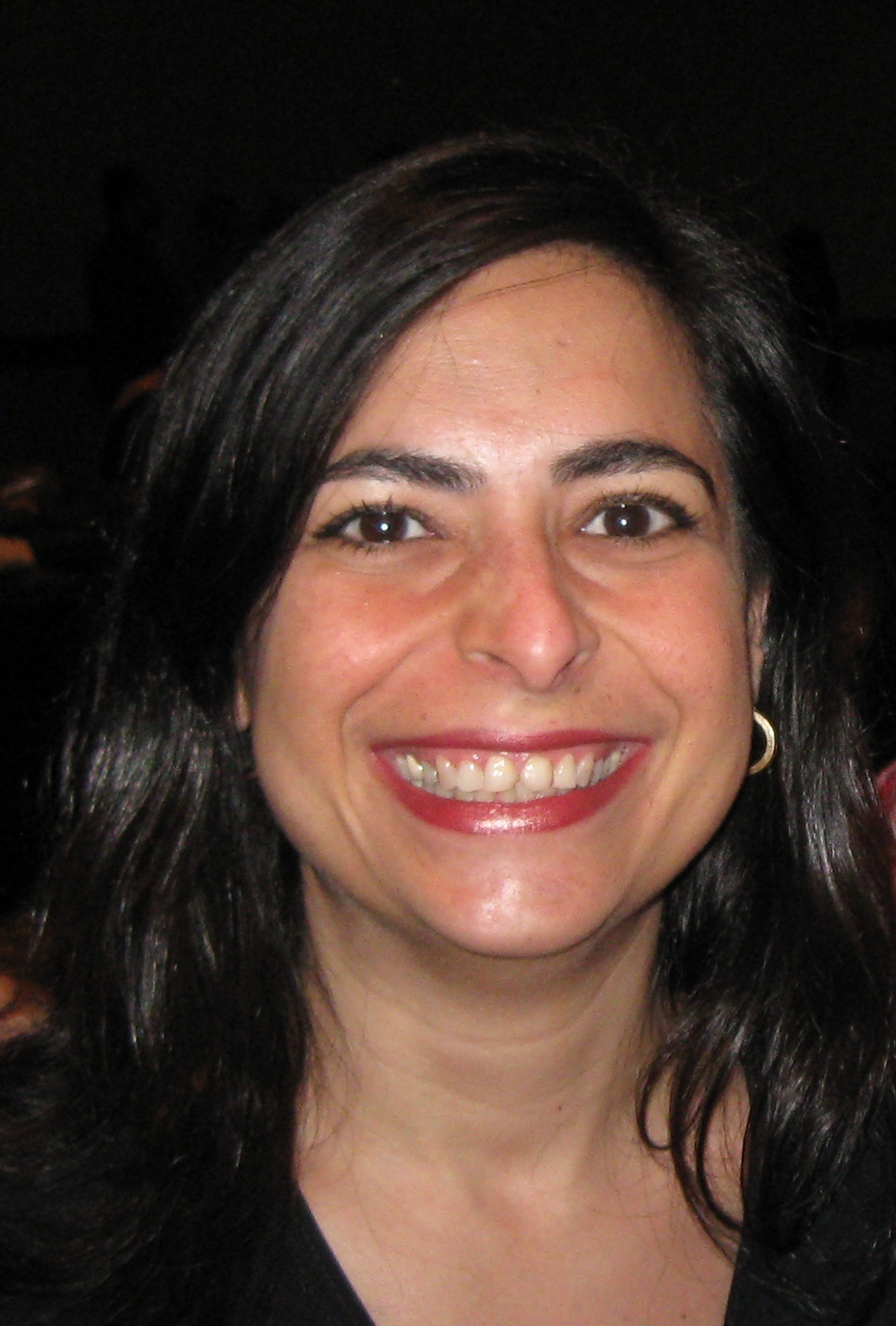 Talking Happiness, Security, and Counterinsurgency with Laleh Khalili ...