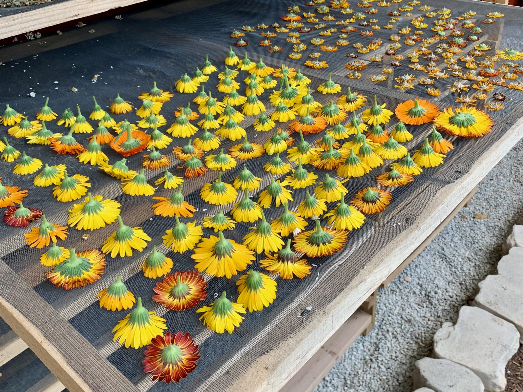 Playing in the Dirt - Contexts